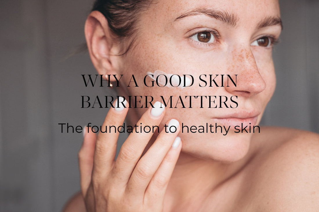 What Is a Healthy Skin Barrier and Protecting it For Ageing – The Skin ...