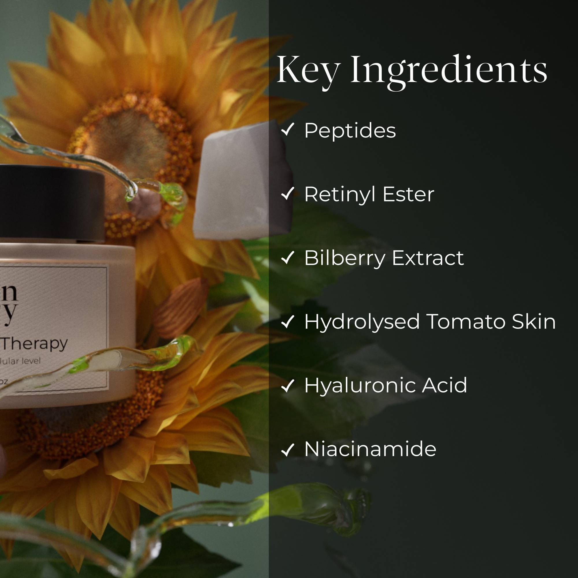 Night Repair Therapy | Buy Now – The Skin Diary