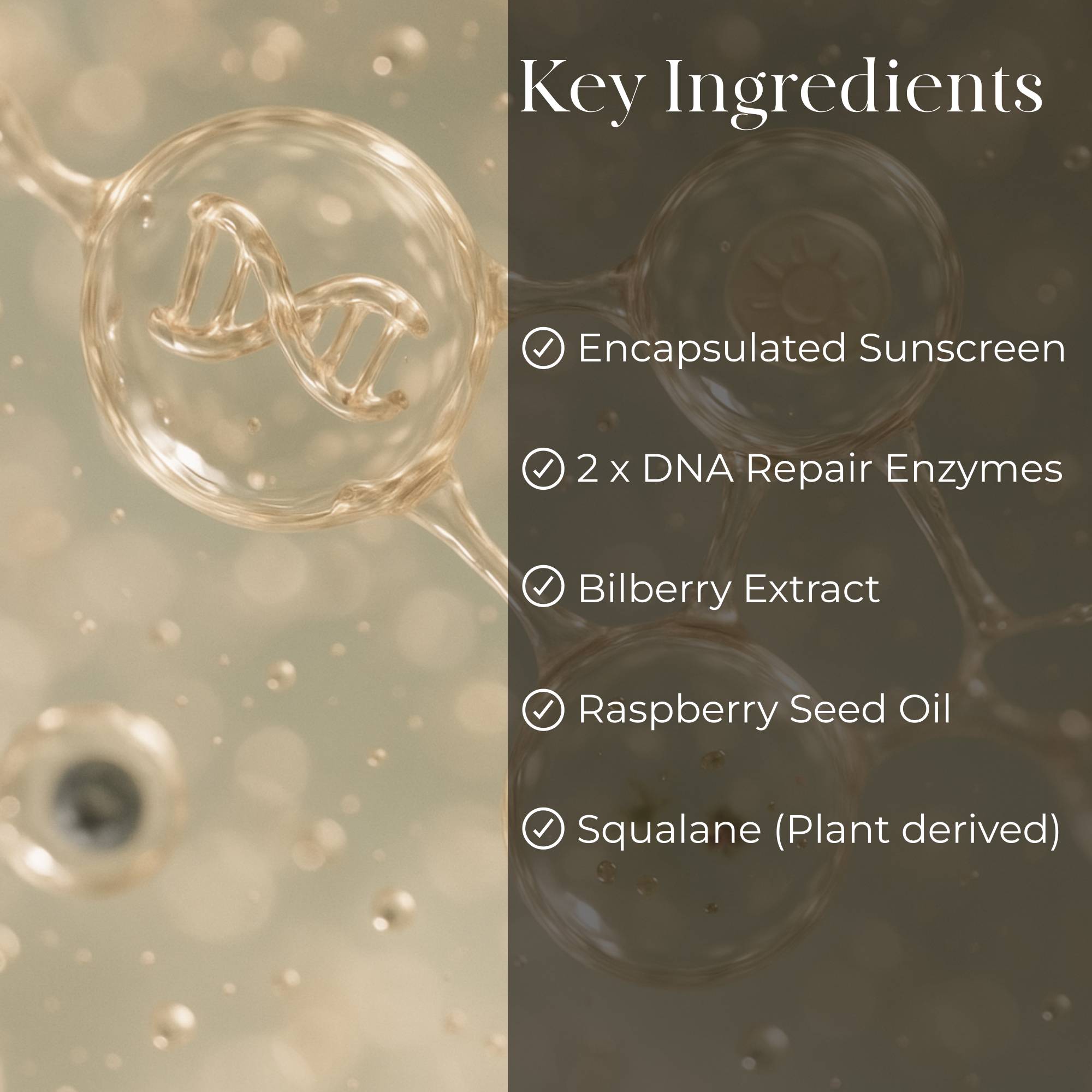 Age Defence Moisturising Day Cream – The Skin Diary